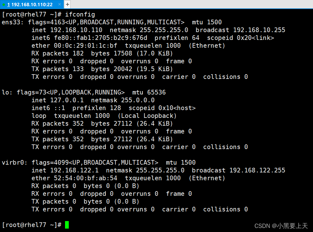 Linux命令(7)之ifconfig_ifconfig ens33 up-CSDN博客
