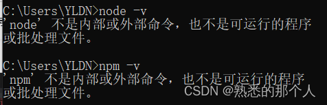 Echarts ：通过npm安装获取Echarts出错！_sudo : 无法将“sudo”项识别为 cmdlet、函数、脚本文件或可运行程序的名称。请检-CSDN博客