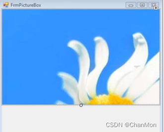 C# WinForm —— 19 PictureBox 介绍_c# picturebox-CSDN博客