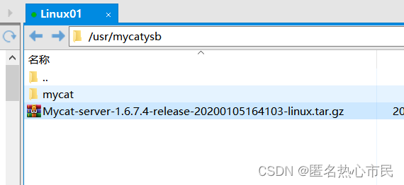 Mycat数据库分库分表中间件安装教程-CSDN博客