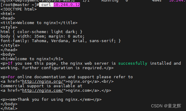 K8S(kubernetes) 部署运用方式汇总_kubectl create deployment nginx --image=nginx ...