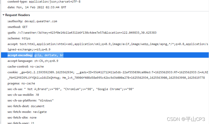 .Net 5中对于http请求的压缩和解压缩（GZip，Brotli）_iis api 返回数据 gzip-CSDN博客