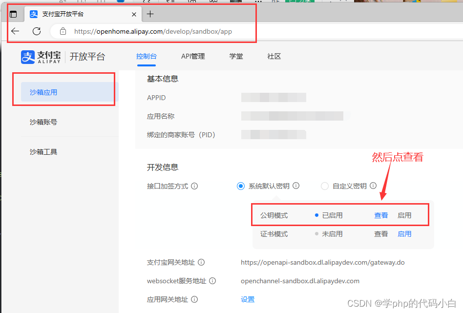 Yansongda沙箱支付-CSDN博客