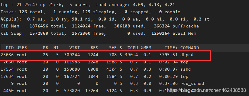 dhpcd占用CPU过高-CSDN博客