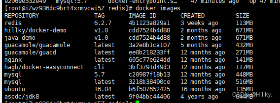 dokcer 安装redis6.2.7 以及踩坑_redis:6.2.7 conf-CSDN博客