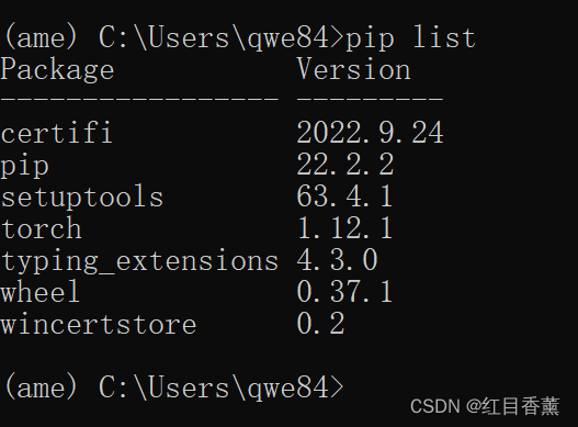 Python安装Pytorch(解决ModuleNotFoundError: No module named ‘torch‘)_modulenotfounderror: no module ...