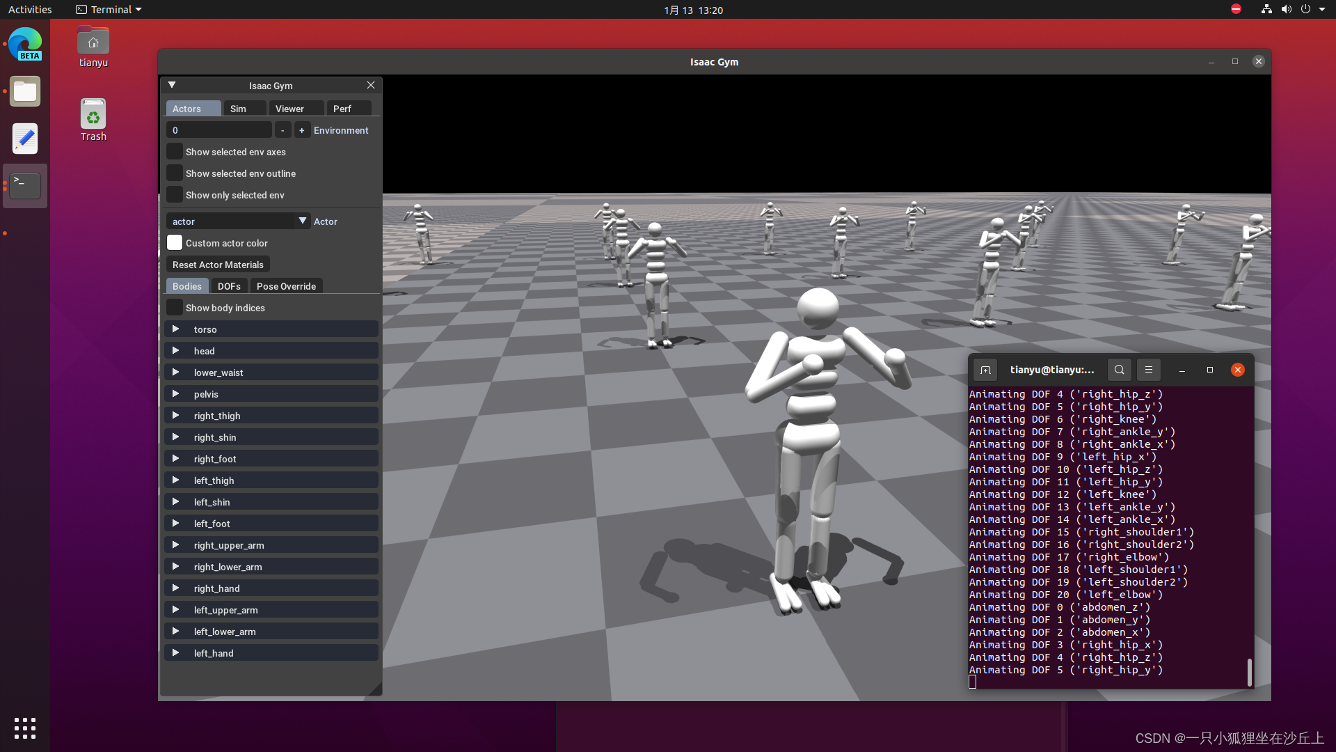Isaac Gym及范例环境安装_isaacgym安装-CSDN博客