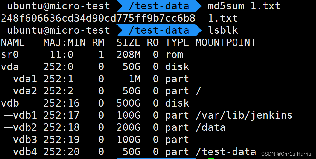 Linux调整分区大小而不丢失数据_resize2fs调整分区大小-CSDN博客