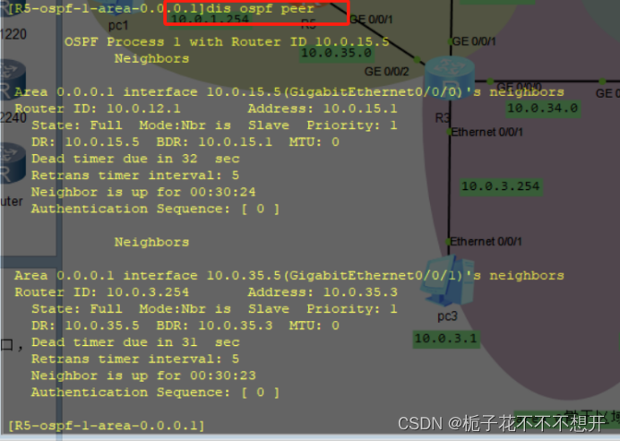 多区域OSPF路由配置_ospf多区域配置-CSDN博客