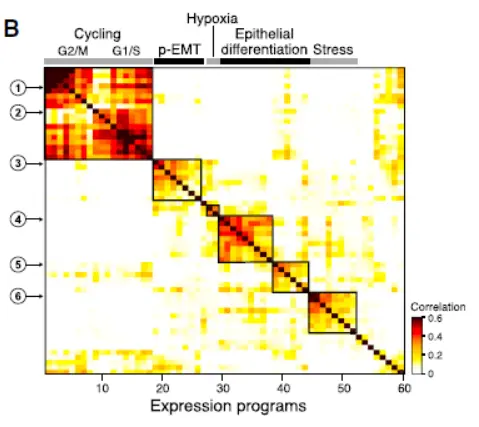 10X单细胞（10X空间转录组）之NMF的实际运用示例（探索肿瘤特征）_genenmf-CSDN博客