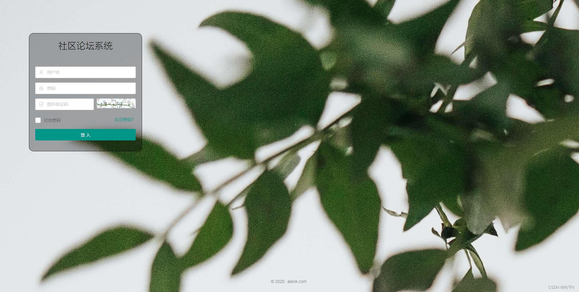 thinkphp6+layui BBS社区论坛系统源码分享,支持适配移动端附截图_thinkphp 论坛-CSDN博客