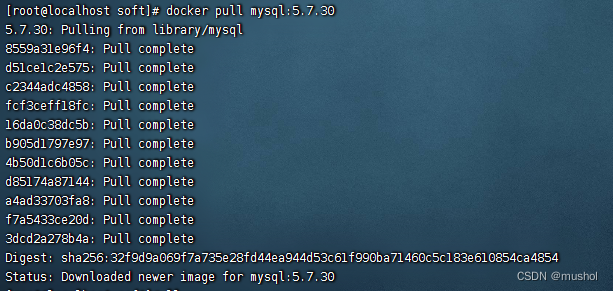 MySQL 5.7 安装（包含window、Linux、Docker）_mysql 5.7 版本 windows-CSDN博客