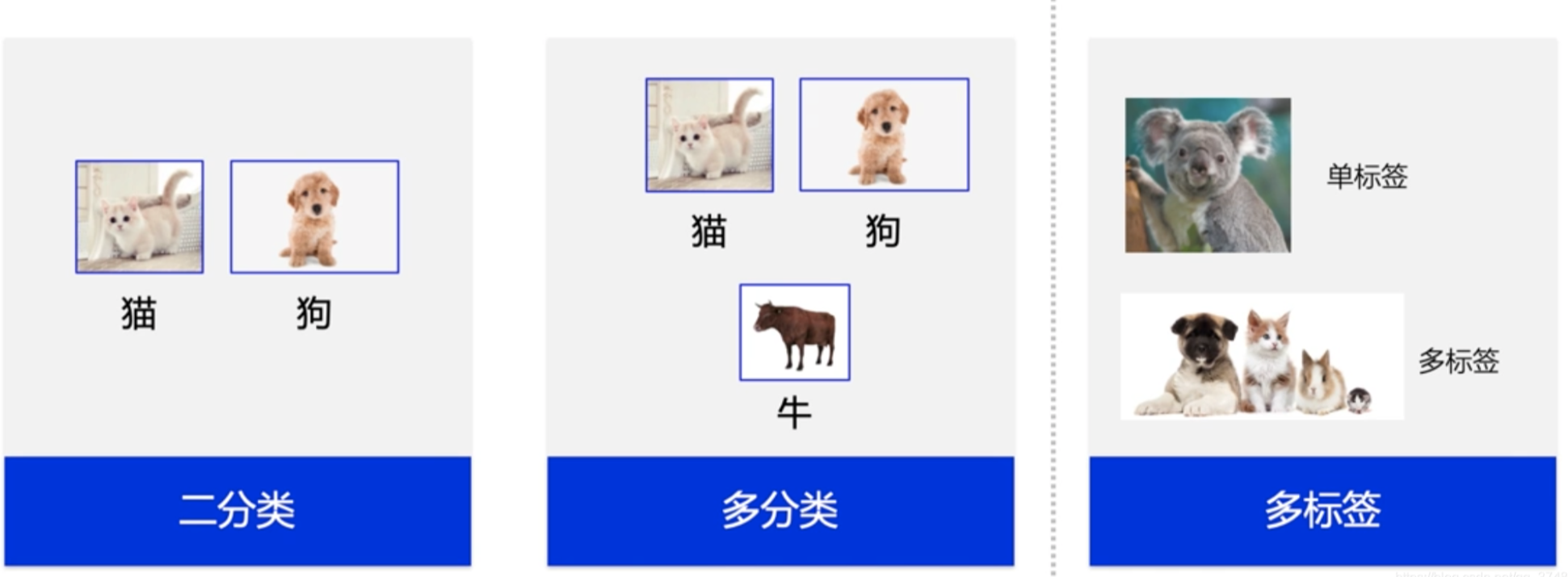 mlperf_resnet50_tensorflow用于图像识别的深度神经网络模型_image.sourcefind.cn-CSDN博客