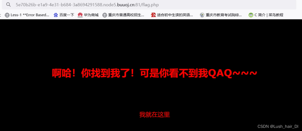 【CTF练习】BUUCTF WEB2_buuctf web shell接-CSDN博客