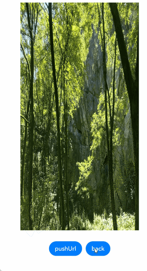 HarmonyOS实战开发：页面转场动画（不推荐）_鸿蒙 router.pushurl 动画-CSDN博客