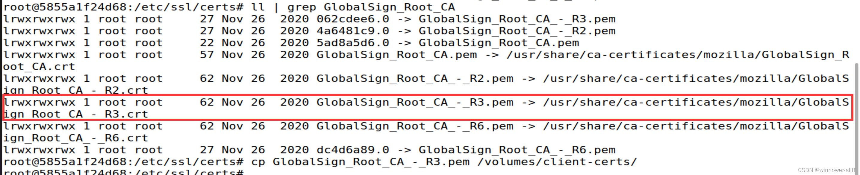 TLS Lab（Transport Layer Security Lab，SEED实验）基于PKI实验内容进行中间人攻击实验 ...