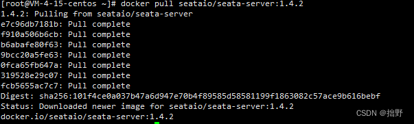 Docker快速部署Seata的TC服务以及微服务引入Seata教程_docker seata-CSDN博客