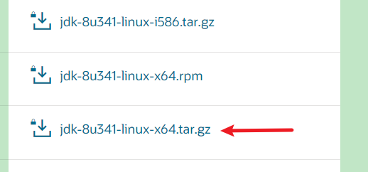 Docker--在容器中安装JDK的方法(有示例)_docker 安装jdk-CSDN博客
