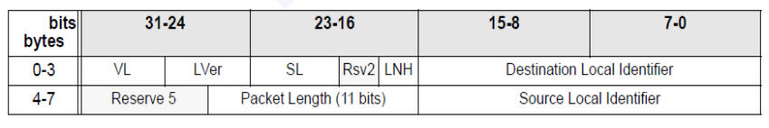 【RDMA】LRH和GRH InfiniBand标头（LRH and GRH InfiniBand Headers）-CSDN博客