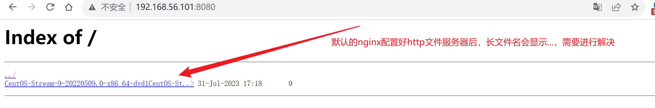 Nginx解决文件服务器文件名显示不全的问题nginx Autoindex On 取消文件名超长隐藏 Csdn博客