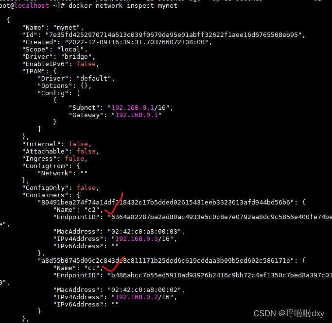 Docker安装Nginx_docker nginx -t-CSDN博客
