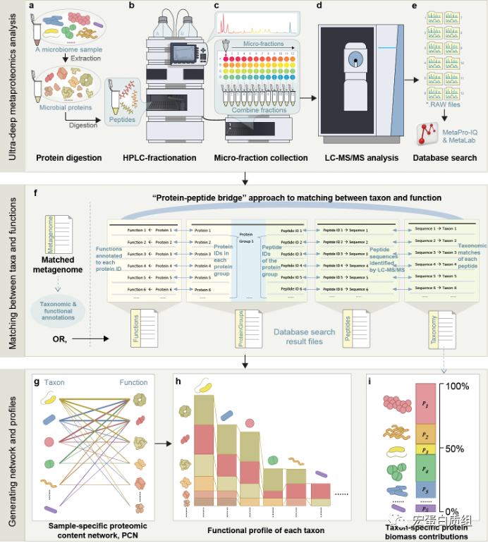 Nat Comms | 深度宏蛋白质组揭示微生物群落蛋白质组水平功能冗余度（连载-1）...-CSDN博客