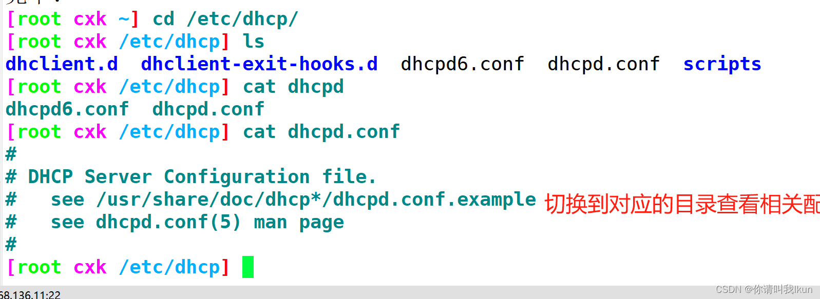 [Linux] DHCP网络-CSDN博客
