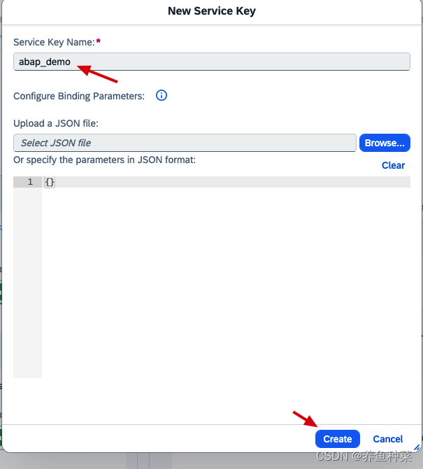 BTP上的ABAP开发（1）环境搭建_abap btp-CSDN博客