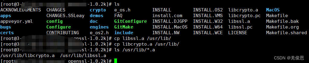 Nginx 安全漏洞（CVE-2022-3638）处理-CSDN博客