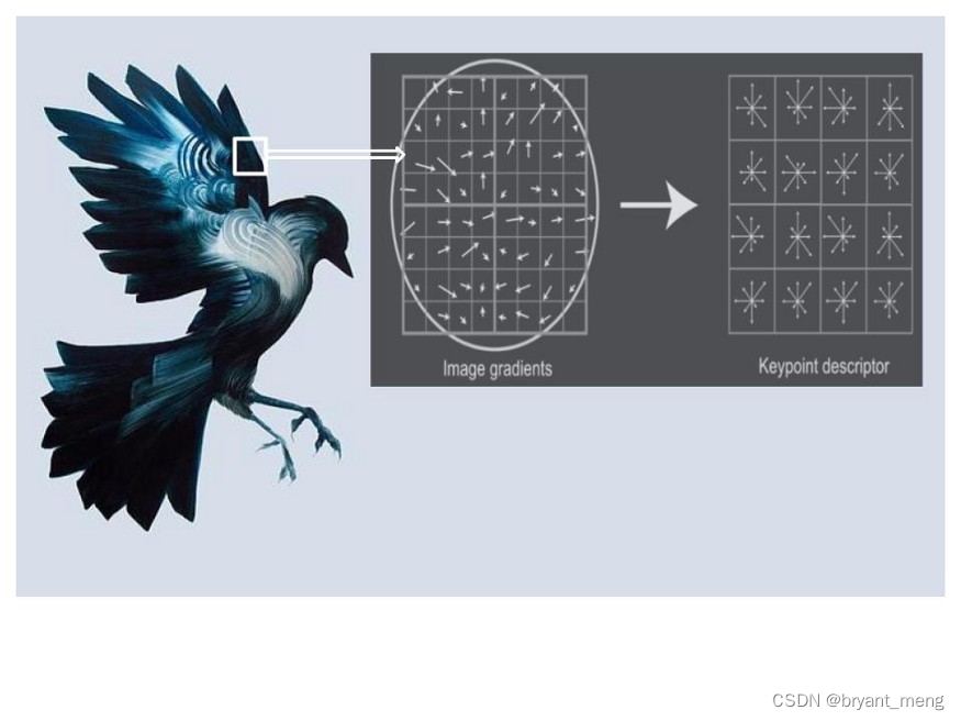 【python】OpenCV—Feature Detection and Matching_opencv特征点检测与匹配 python-CSDN博客