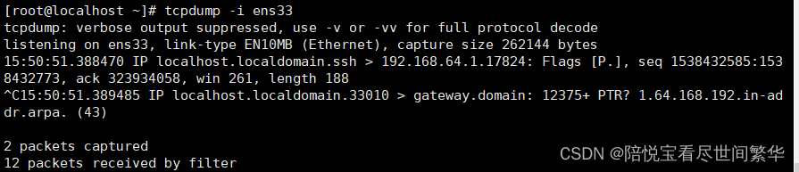 Linux网络命令之DHCP_ifconfig dhcp-CSDN博客