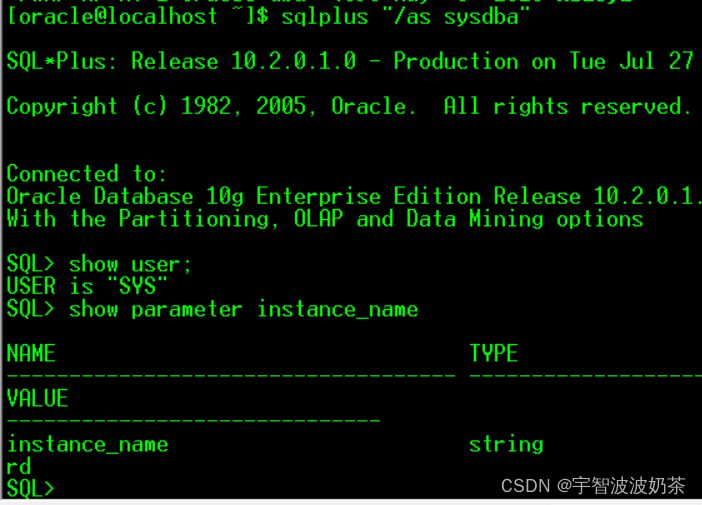Spring Boot 项目连接虚拟机上的Oracle数据库_spring.datasource.url oracle-CSDN博客