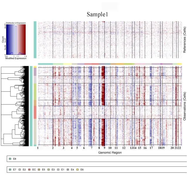 10X单细胞个性化分析之CNV篇_单细胞cnv分析-CSDN博客