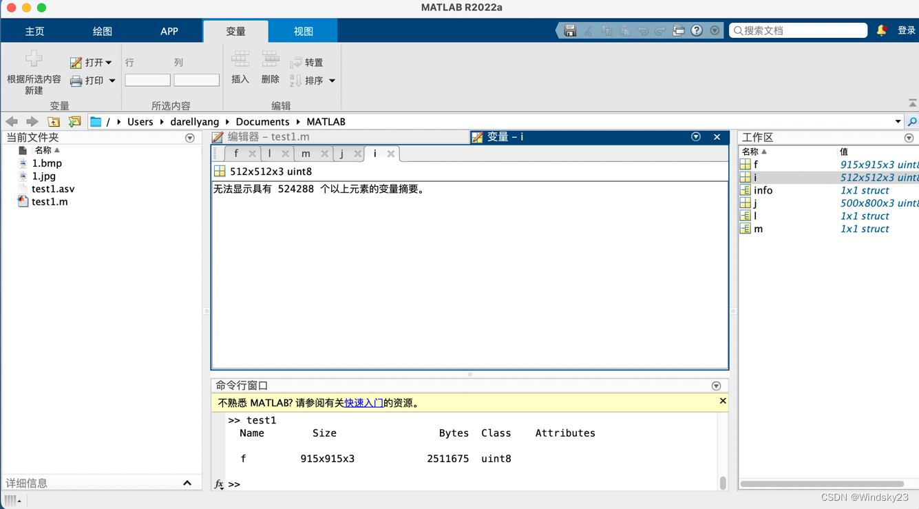 MATLAB图像处理基础：读取、显示与转换-CSDN博客