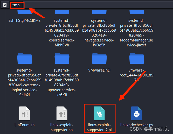 权限提升：漏洞探针.（Linux系统）_提权探针-CSDN博客