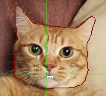 自动标注工具与平台比较：LabelStudio、AnyLabeling、EISeg与EasyData-CSDN博客