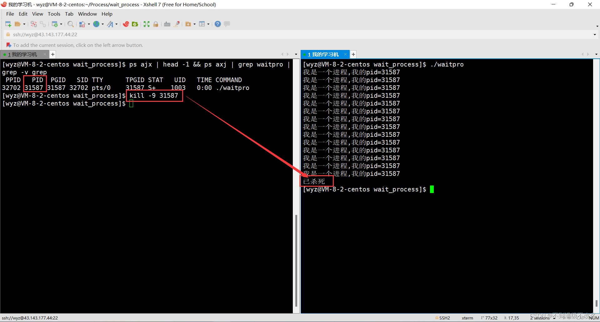 Linux 进程概念（一）_getpid()拿不到值-CSDN博客