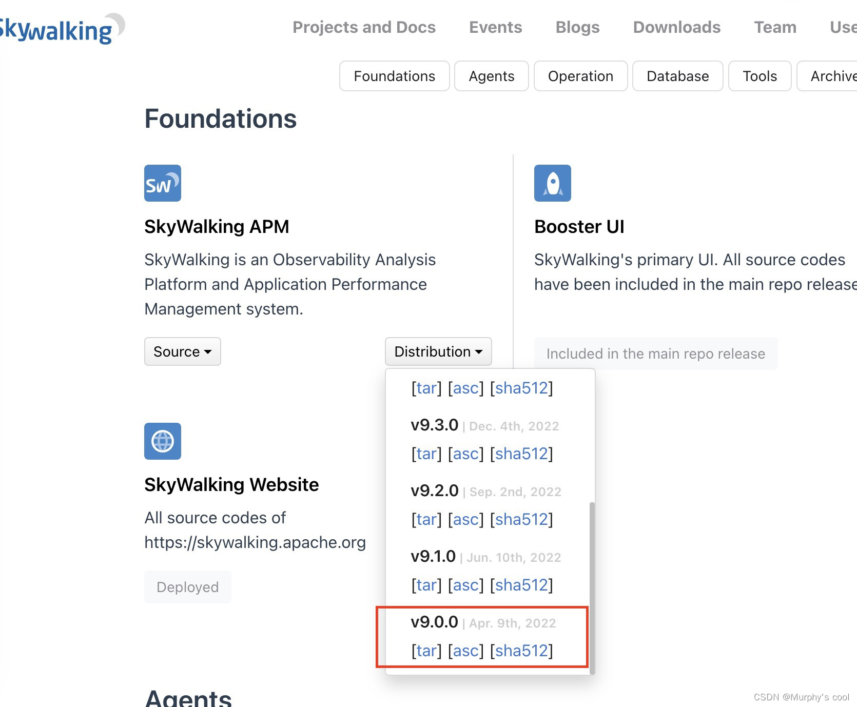 SpringBoot（48）-使用 SkyWalking 进行分布式链路追踪_skywalking链路追踪和监控-CSDN博客