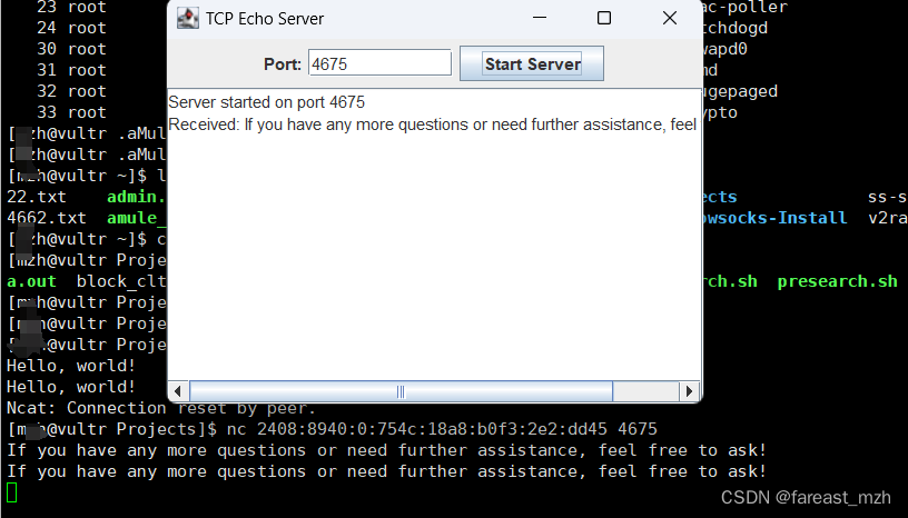 windows echo server测试网络联通性-CSDN博客