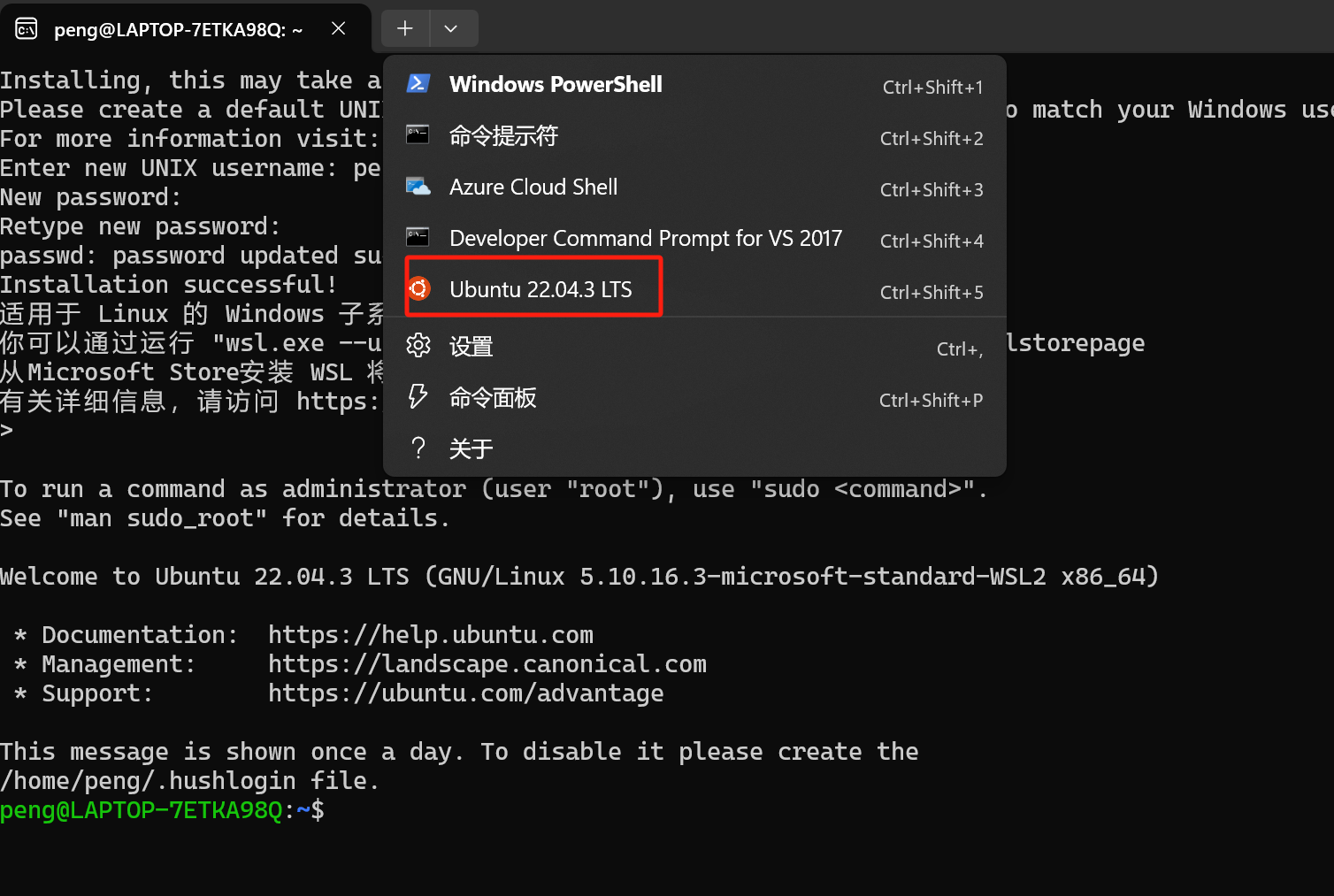 WSL2安装与Docker的使用_configure which wsl 2 distros you want to access d-CSDN博客