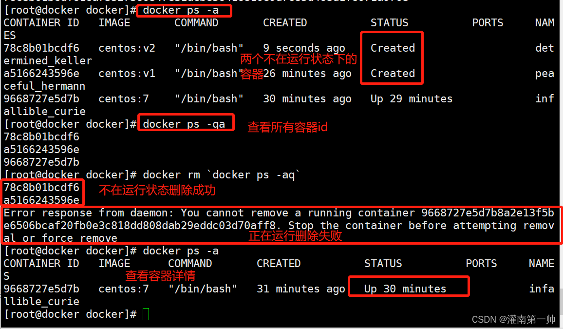 docker镜像与容器的基本操作_docker registry-mirrors-CSDN博客