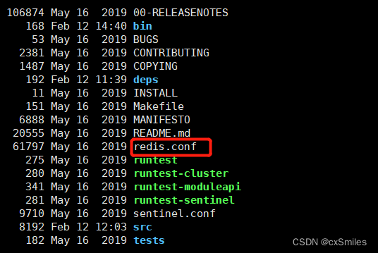 Linux安装redis5.0 (超完整图文详细教程)-CSDN博客