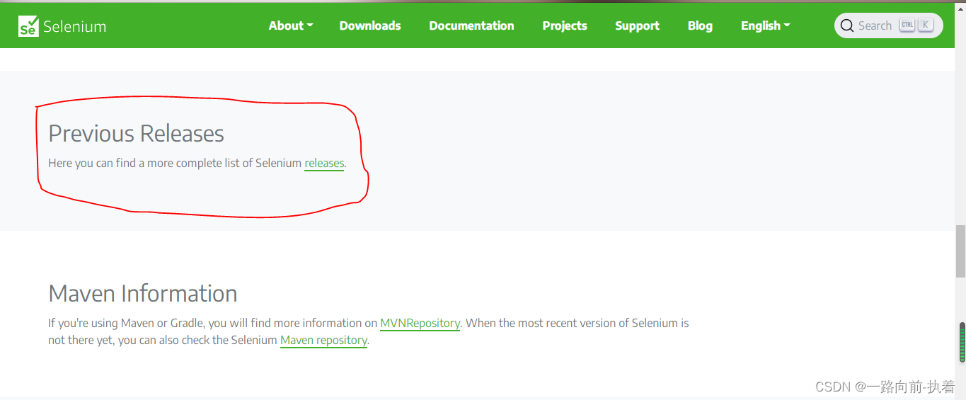 selenium-java常用api_java selenium api-CSDN博客