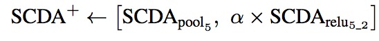 细粒度检索SCDA 详解_selective convolutional descriptor aggregation for-CSDN博客