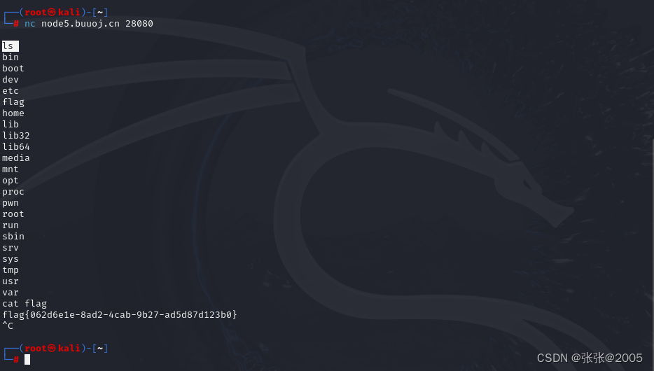 pwn（一）前置技能_pwncli-CSDN博客