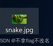 BUUCTF---misc--snake_buuctf snake-CSDN博客