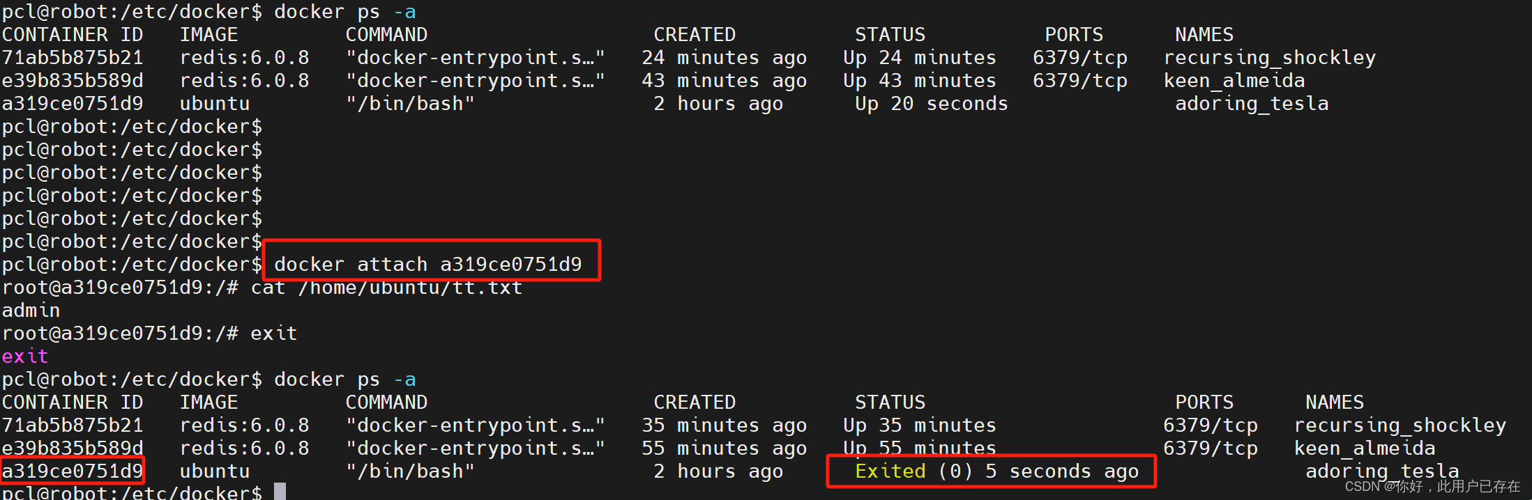 docker常用命令_docker redis image-CSDN博客