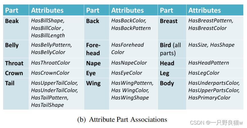The Caltech-UCSD Birds-200-2011 Dataset-CSDN博客