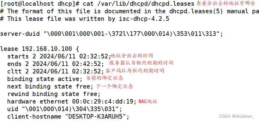Linux-DHCP原理与配置_linux网卡配置dhcp-CSDN博客