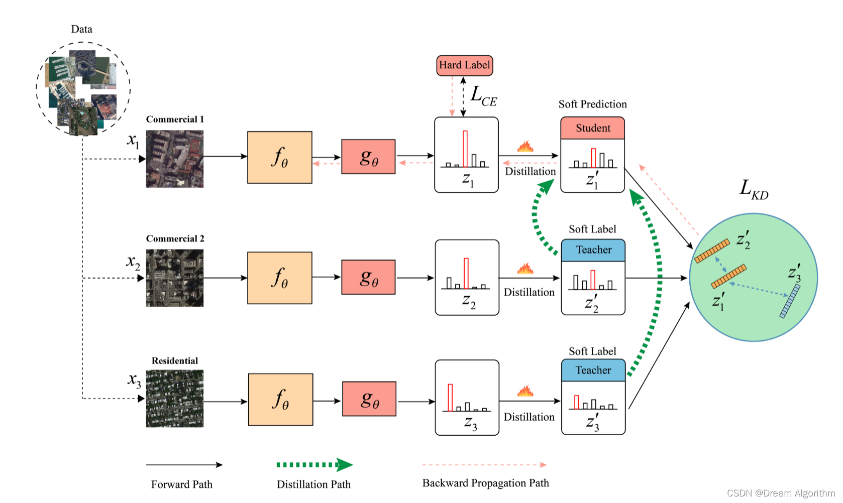 Class-Aware Self-Distillation for Remote SensingImage Scene Classification_class-aware ...